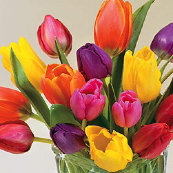 Easter Flower Sale - Bethel Fire Company